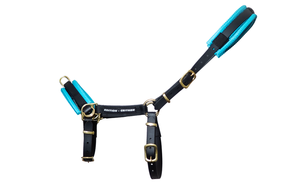 Geitner Kappzaum aus Biothane®