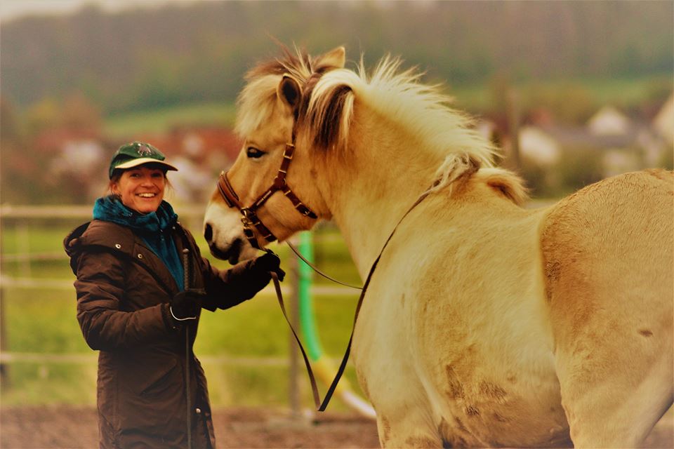 AH Dual Aktivierung - Michael Geitner - Be-Strict