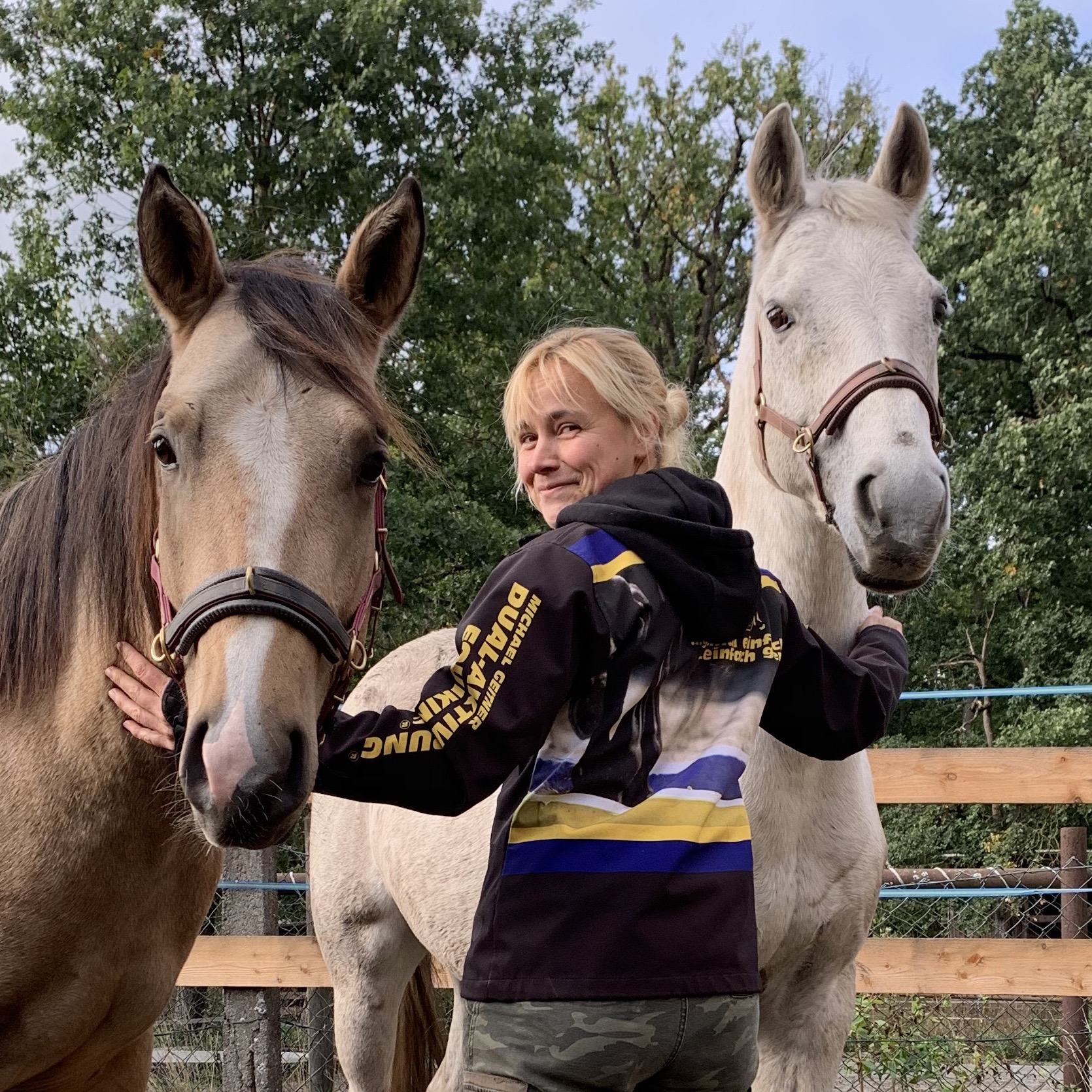 Pferdetraining - Michael Geitner - Be-Strict