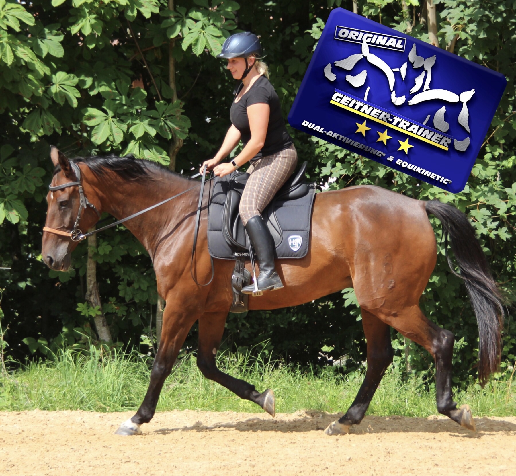 Pferdetraining und Reitunterricht - Michael Geitner - Be-Strict