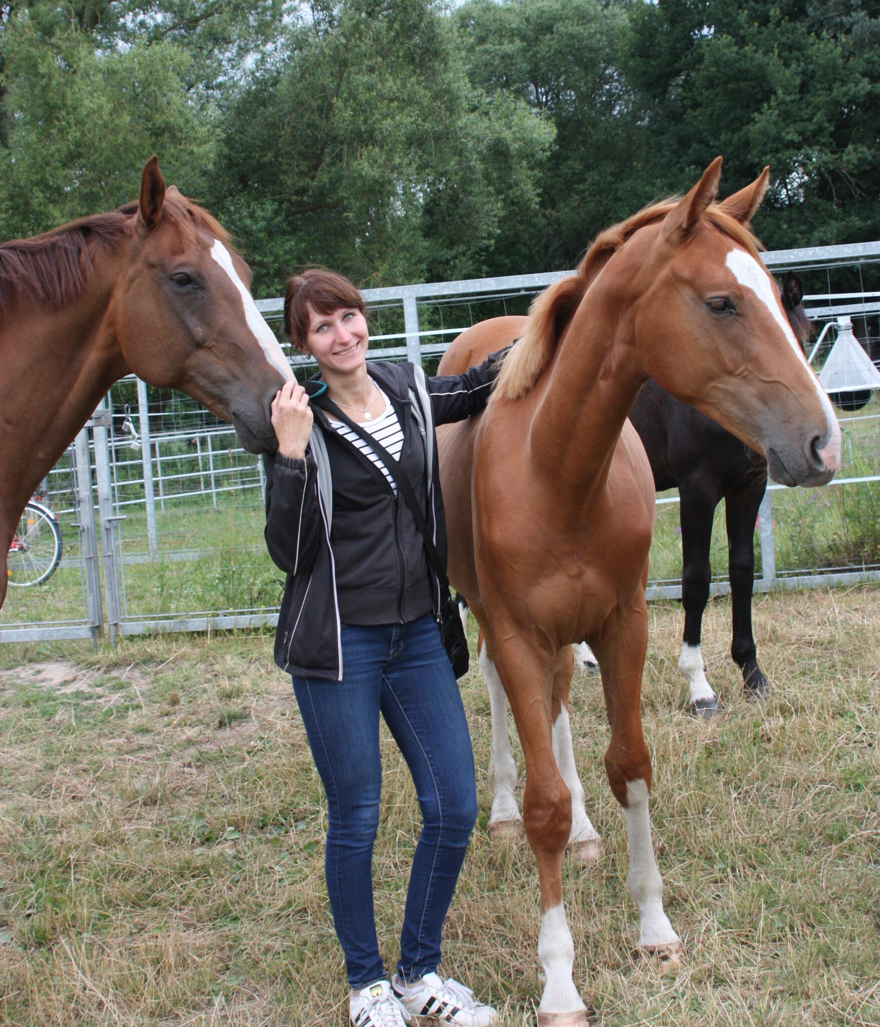 Maria Guth Pferdetraining-MV - Michael Geitner - Be-Strict