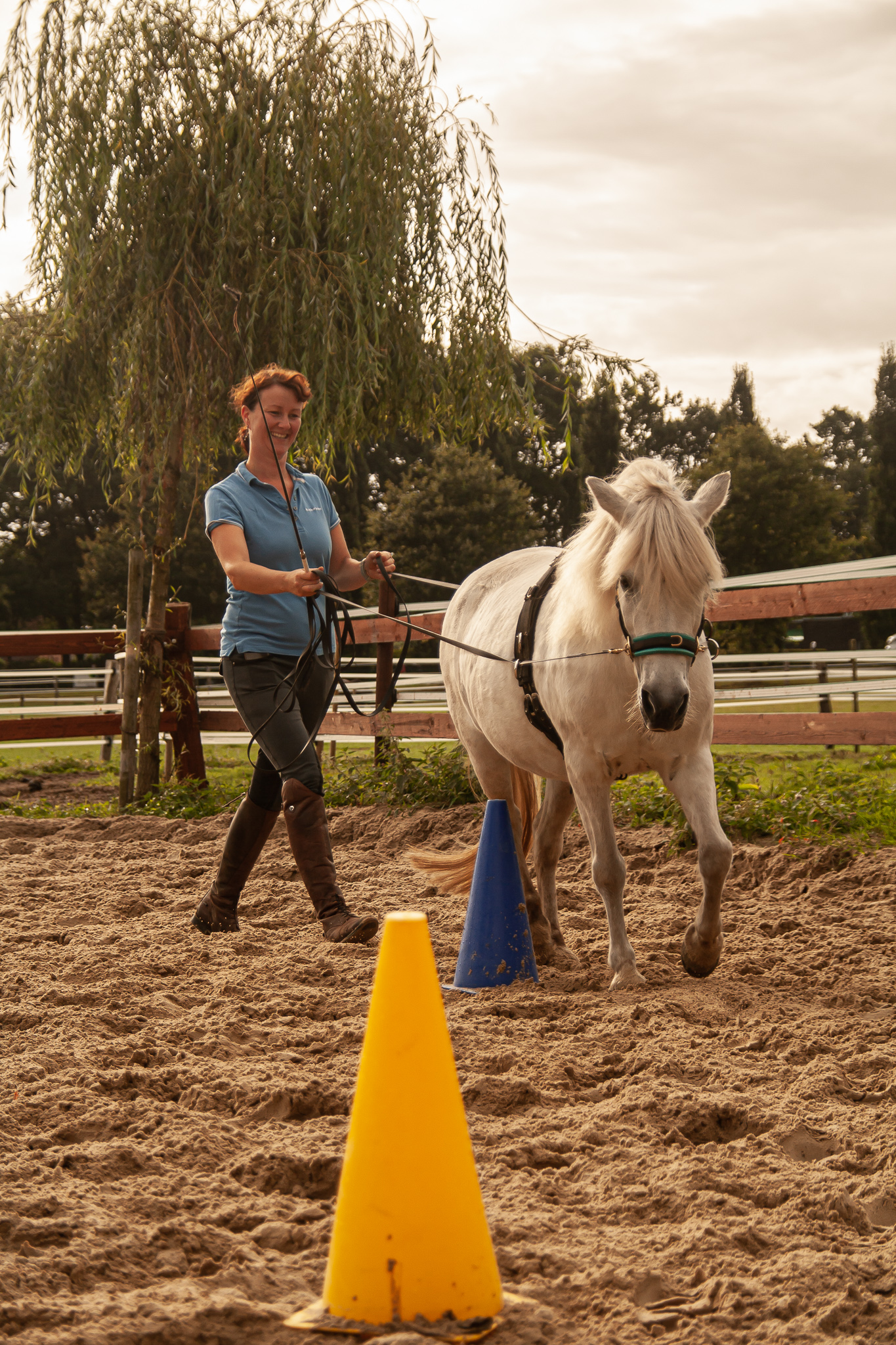 Pferdetraining an der Basis - Michael Geitner - Be-Strict