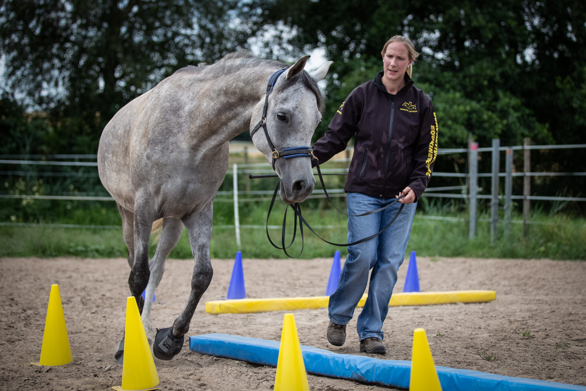 Krahl Pferdetraining - Michael Geitner - Be-Strict