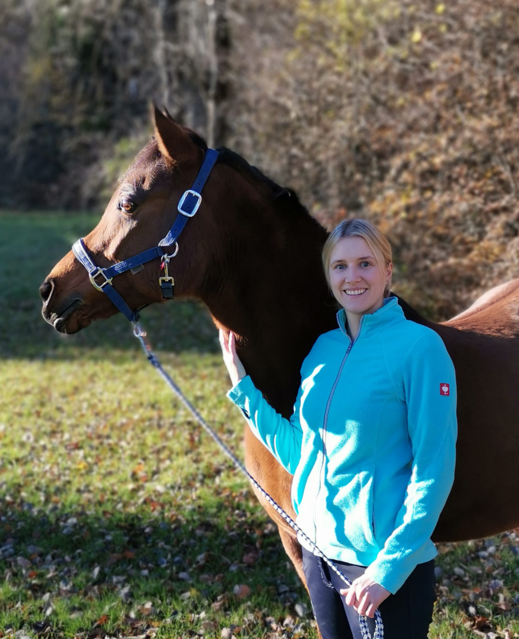 Pferdetraining - Melanie Erlmoser - Michael Geitner - Be-Strict