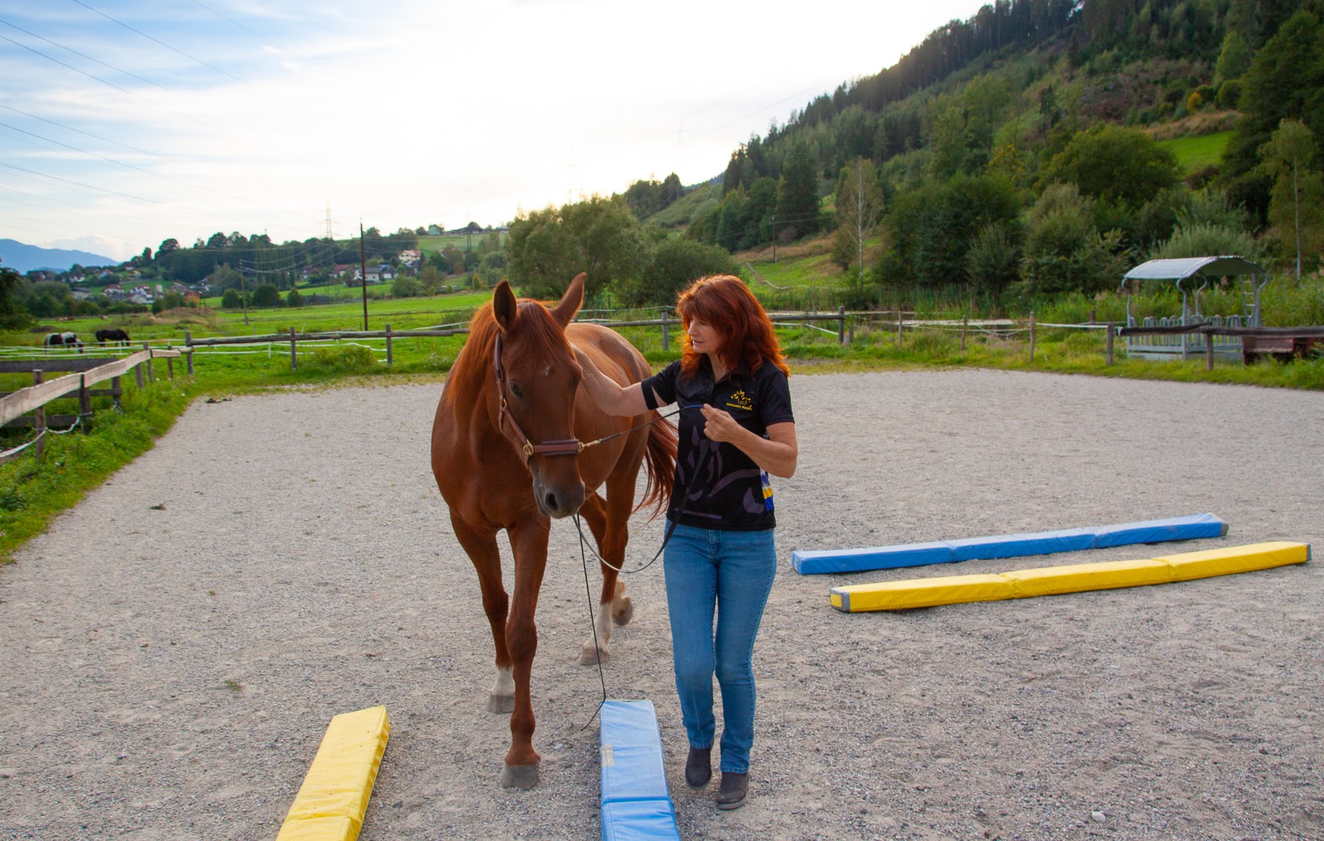 Pferdetraining HARMONIE - Michael Geitner - Be-Strict