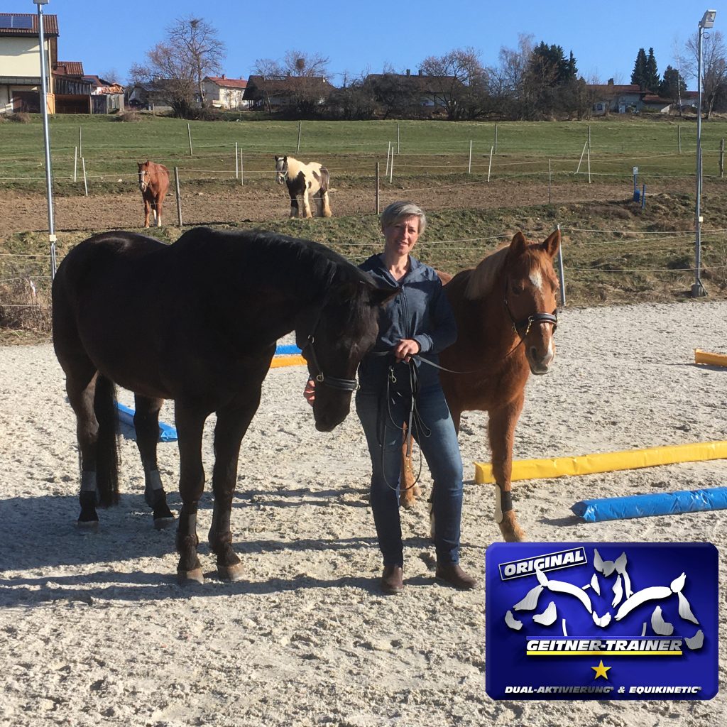 Pferdetraining Arberland - Michael Geitner - Be-Strict
