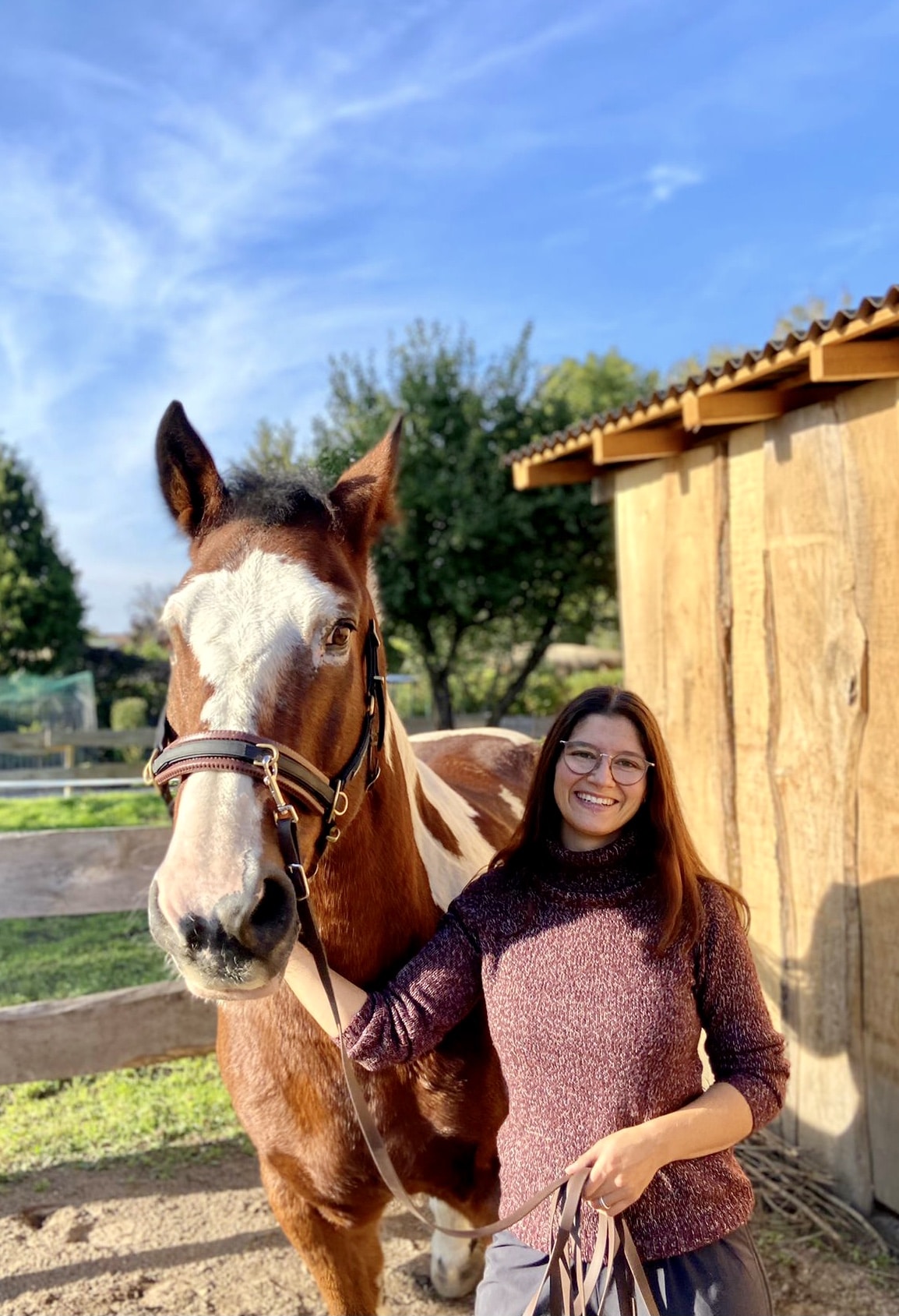 Training pro Pferd Myrielle Hely - Michael Geitner - Be-Strict