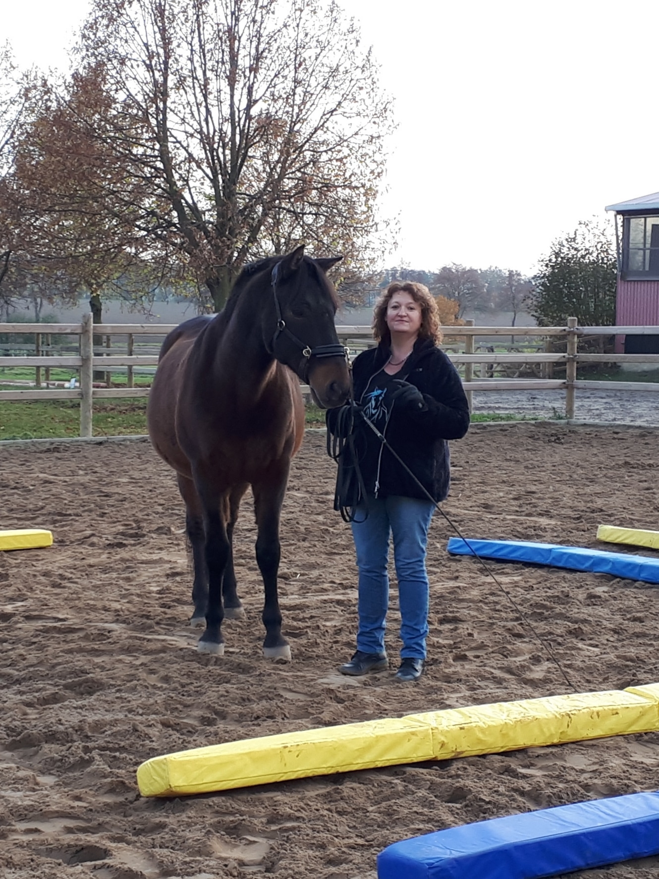 Bettina Chrosnik – Blau-Gelbes-Pferdetraining mit Köpfchen - Michael ...