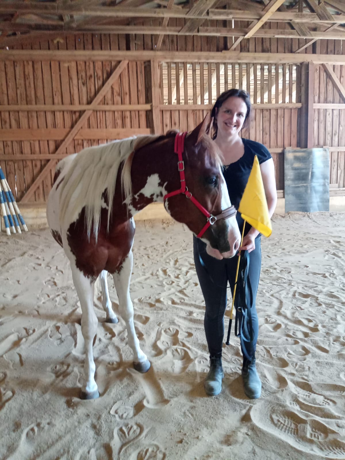 Dana Dopheide (WesternPowerHorse) - Michael Geitner - Be-Strict