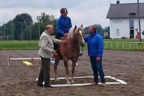 Pferdetrainer Michael Geitner - offizielle Seite