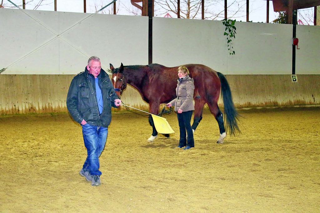 Immer eine Lösung bereithaben – Bericht aus der PferdeWoche - Michael ...